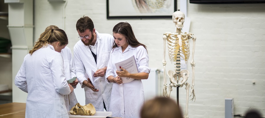 MSc in Human Anatomy | Biomedical Sciences | Biomedical Sciences